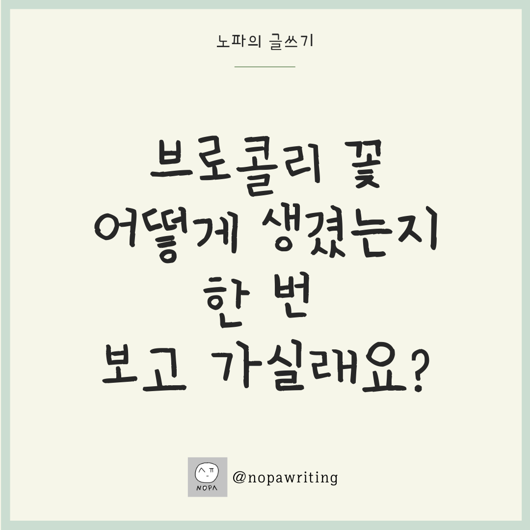 브로콜리 꽃 어떻게 생겼는지 궁금하지 않으세요