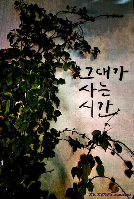 그 사람에겐 그 사람의 이유가 있었겠지