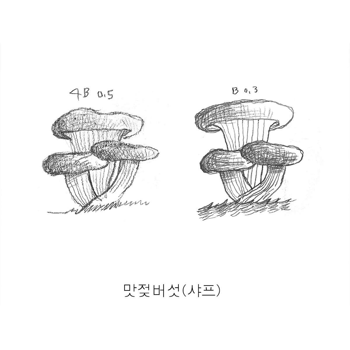 목수연필과 샤프