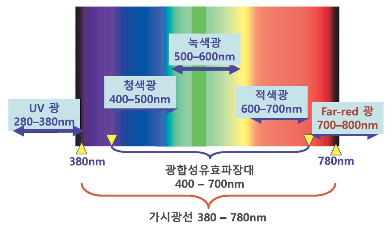 04화 태양을 대신하는 빛