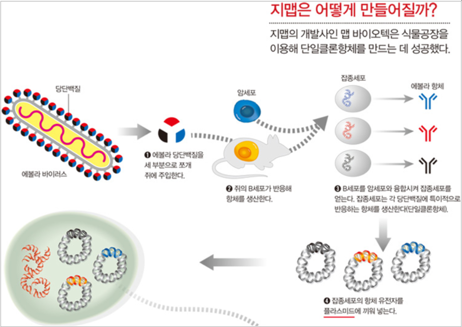 11화 스마트팜과 식물백신