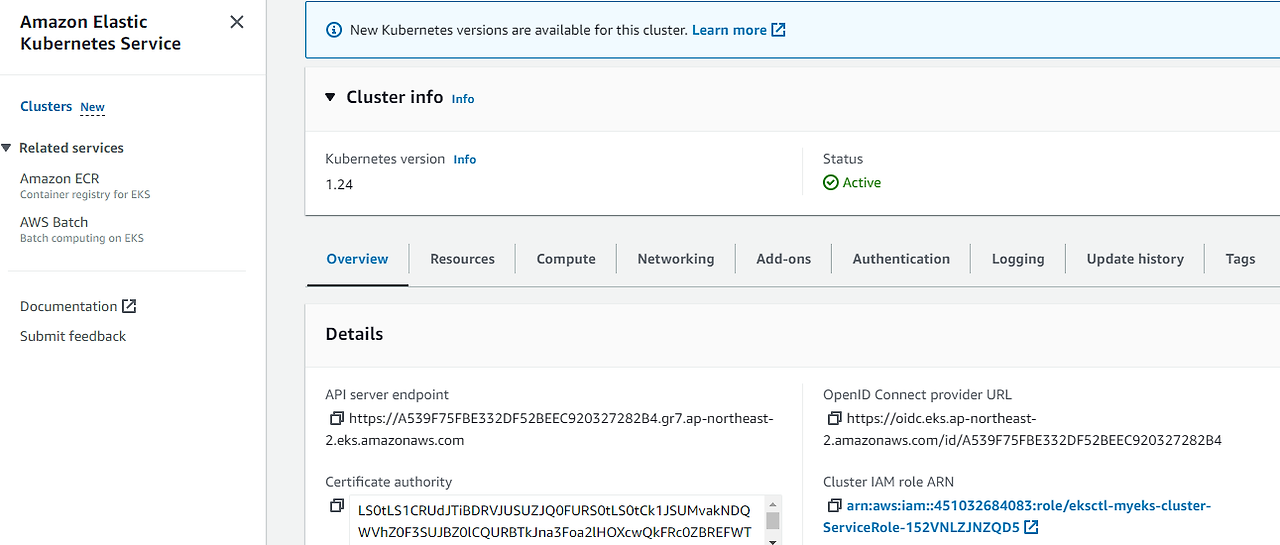 EKS 8탄-1.Amazon EKS 설치-1/17