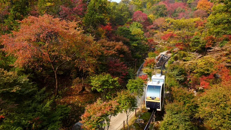 곤지암 화담숲 리조트 가족 가을 여행 숲캉스 꿀팁