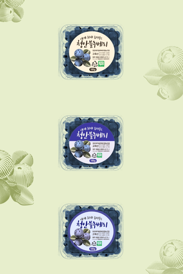 세밀화 일러스트가 돋보이는 블루베리 용기 스티커 디자인