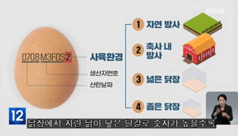 계란 숫자의 비밀 숫자가 의미하는 중요한 정보
