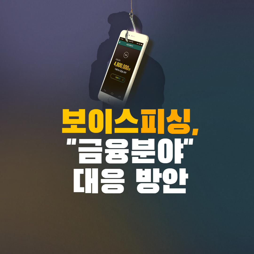 보이스피싱 피해 대응 방안 금융분야 어떻게 바뀌나