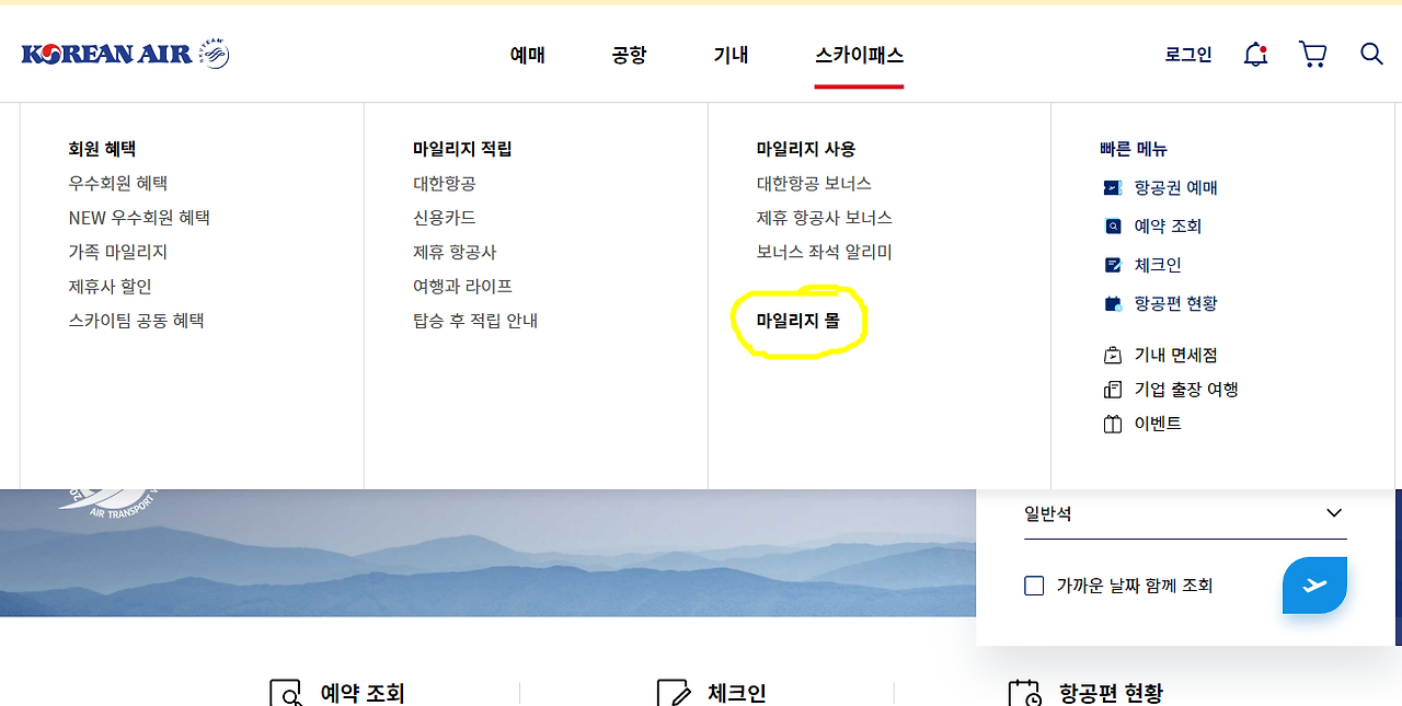 대한항공 마일리지 사용법 스카이패스 마일리지몰 구매방법