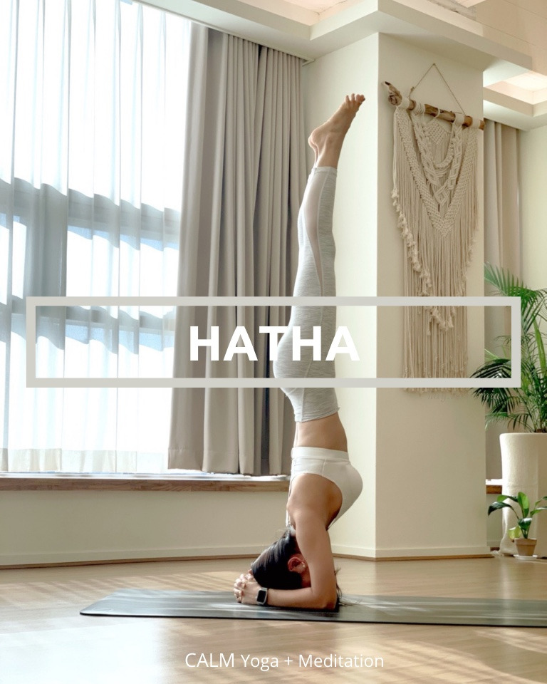 요가의 종류, 하타 [HATHA] 총정리