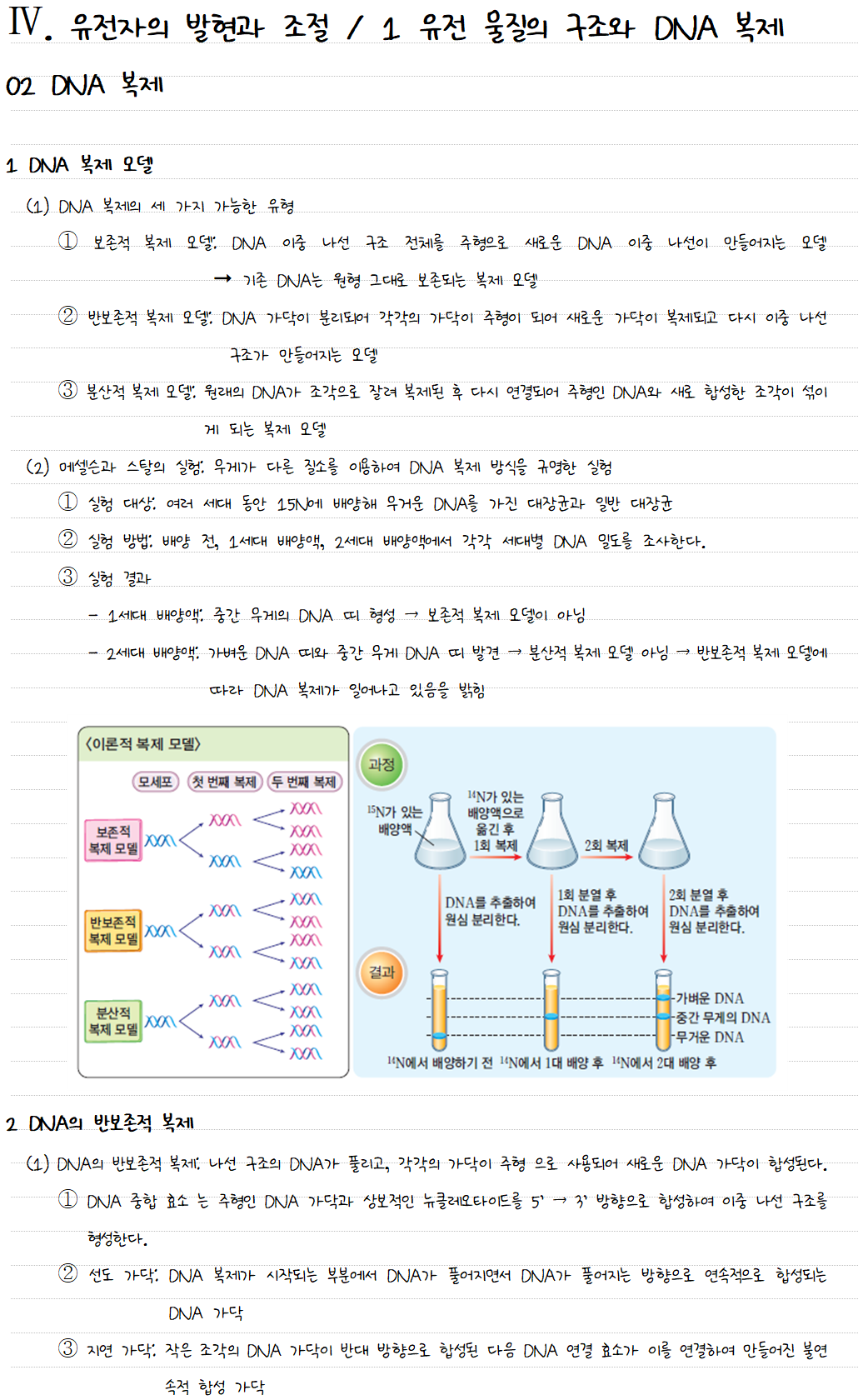 고등학교 생명과학2 Dna 복제 핵심정리 요약