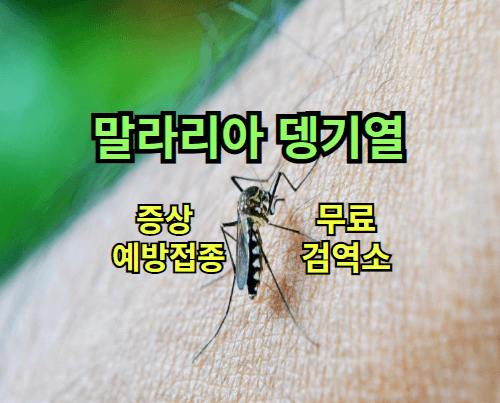 말라리아 뎅기열 증상 예방접종 병원 전국 13개 무료 검역소 바로가기