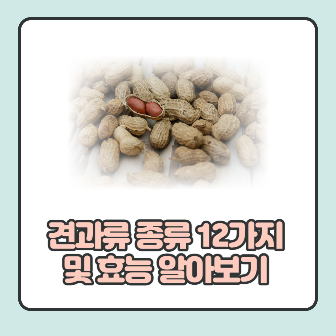 견과류 종류 12가지 및 효능 파헤쳐 보기