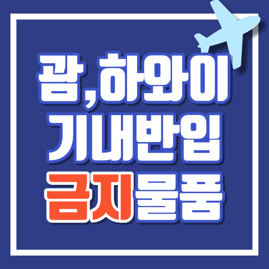 괌 여행 준비물 한달살기 And 괌 즐기는 방법 총정리경비 및 각종팁