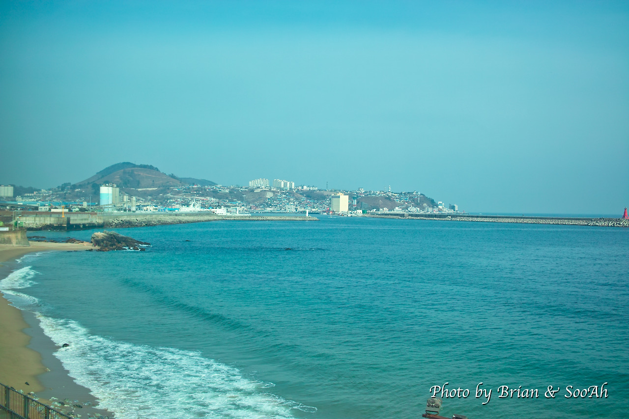 관광열차여행 동해산타열차 왕복 탑승기