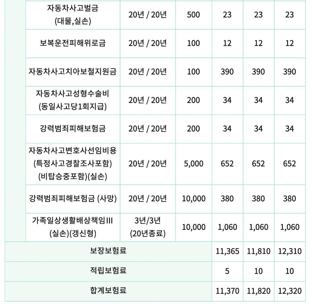 무배당 프로미라이프 참좋은운전자상해보험tm2404 Db손해보험 운전자보험 히포테크