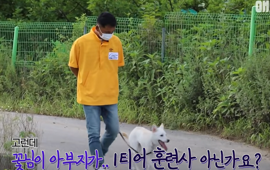 이찬종 소장 성추행 혐의 맞고소 준비
