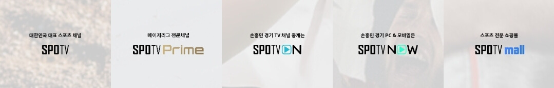 SPOTV (스포티비) 중계 시청, 편성표 및 TV 채널 번호, PC 및 모바일 시청 방법, 이용요금 (SPOTV ON, Prime, NOW)