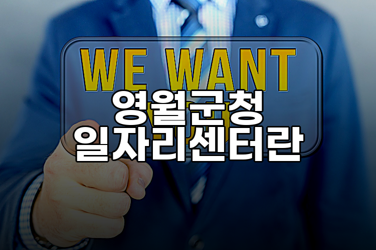 영월군청 홈페이지 일자리센터