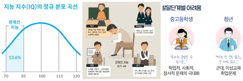 성인 경계성 지능장애 테스트 특징 원인과 치료방법