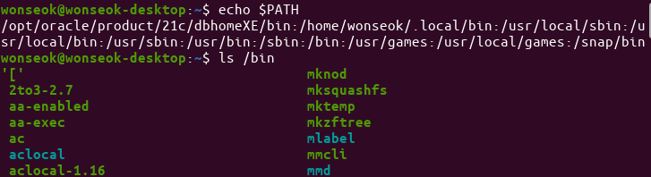 [linux Ubuntu] 리눅스 우분투 Path 환경변수 값 출력 및 확인하기 예제 Echo Ld Library Path