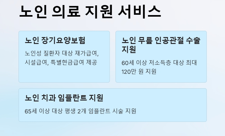 65세 이상 노인을 위한 정부 지원금 총정리