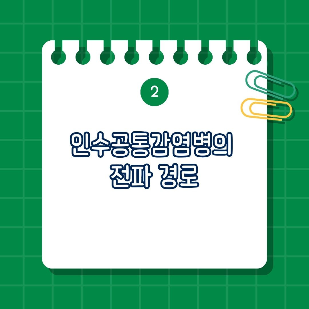 인수공통감염병 인수공통전염병의 종류와 원인 사례 알아보기