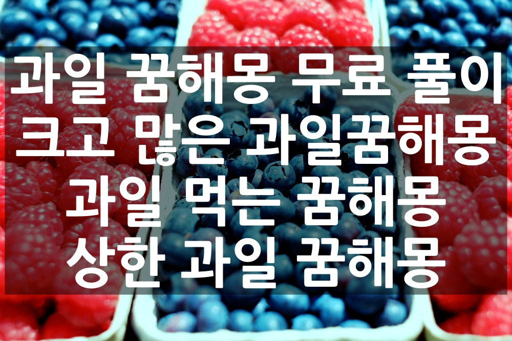 과일 꿈해몽 무료 풀이 크고 많은 과일꿈해몽 과일 먹는 꿈해몽 상한 과일 꿈해몽