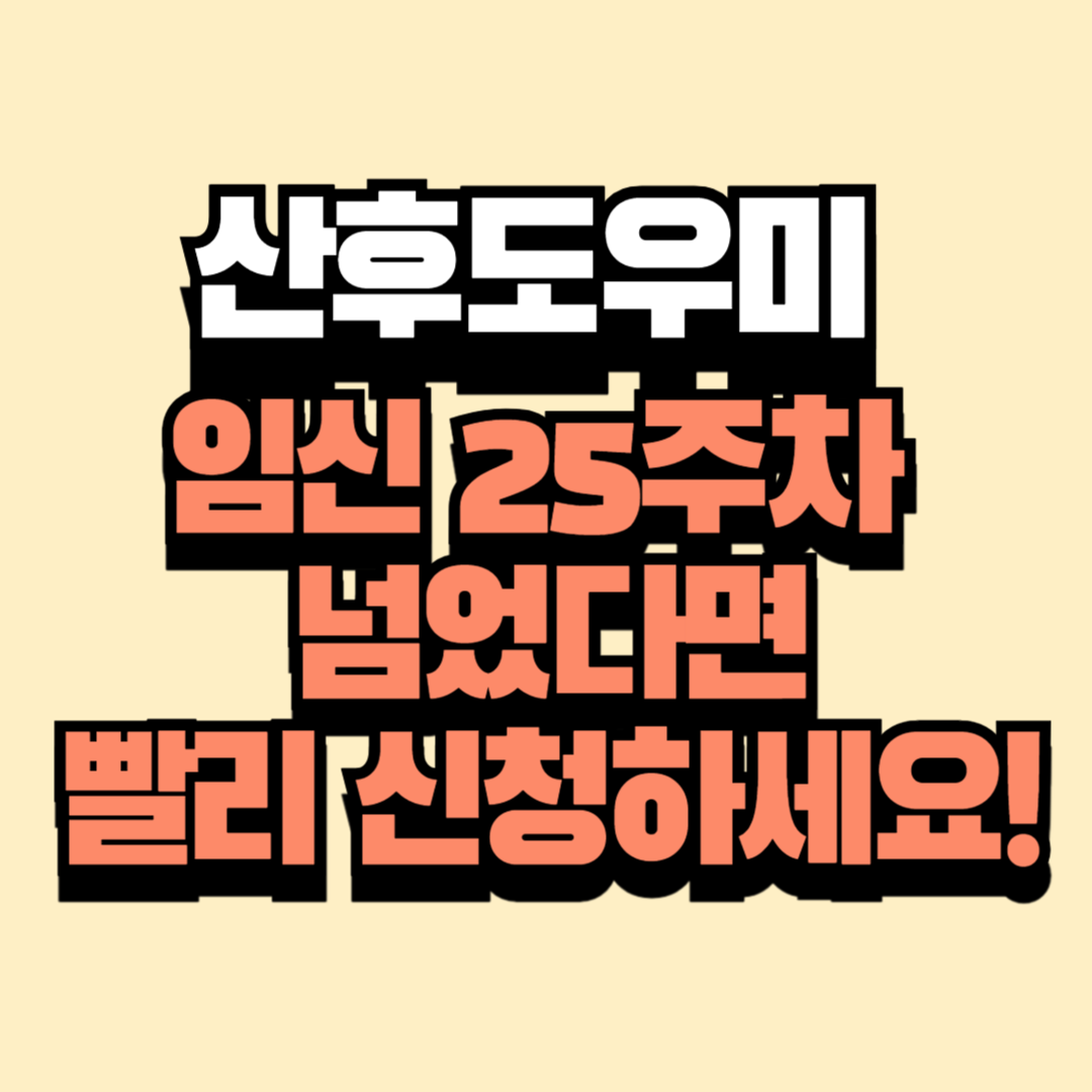 산후도우미 정부지원 신청 방법 총정리정부지원금 본인부담금 꿀팁까지