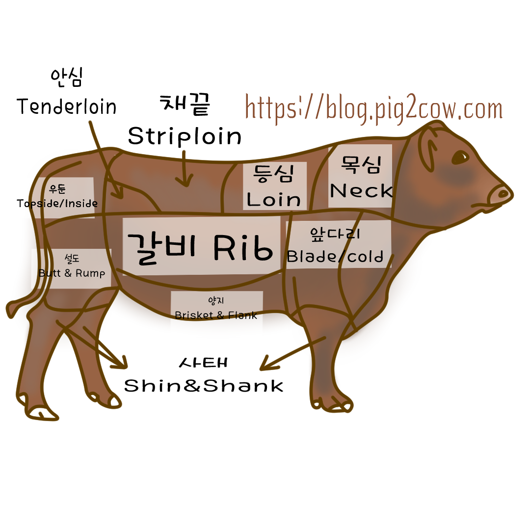 소고기 부위별 종류 및 특징beef 소고기 부위별 영어