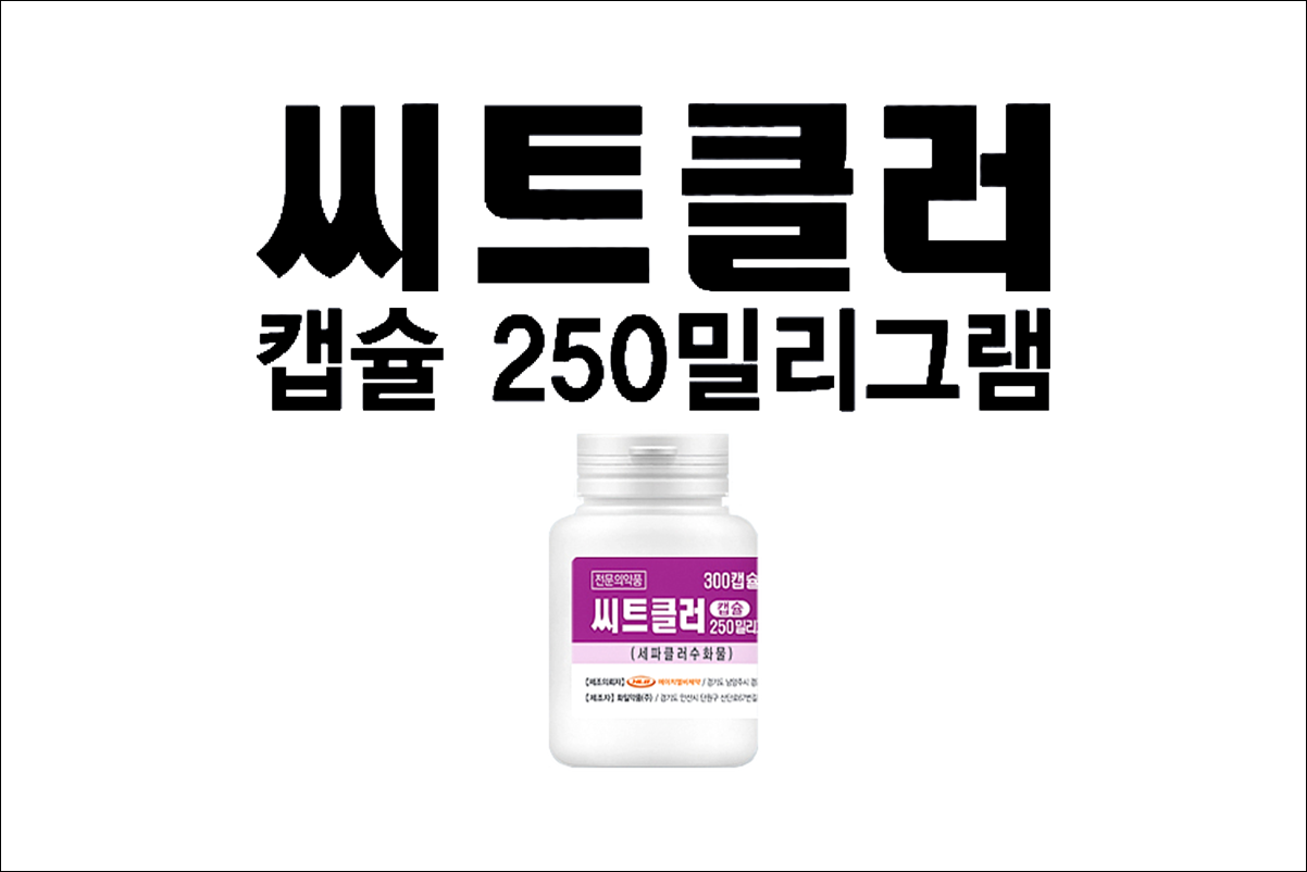 씨트클러캡슐 250mg 효능 효과 부작용 세파클러 항생제