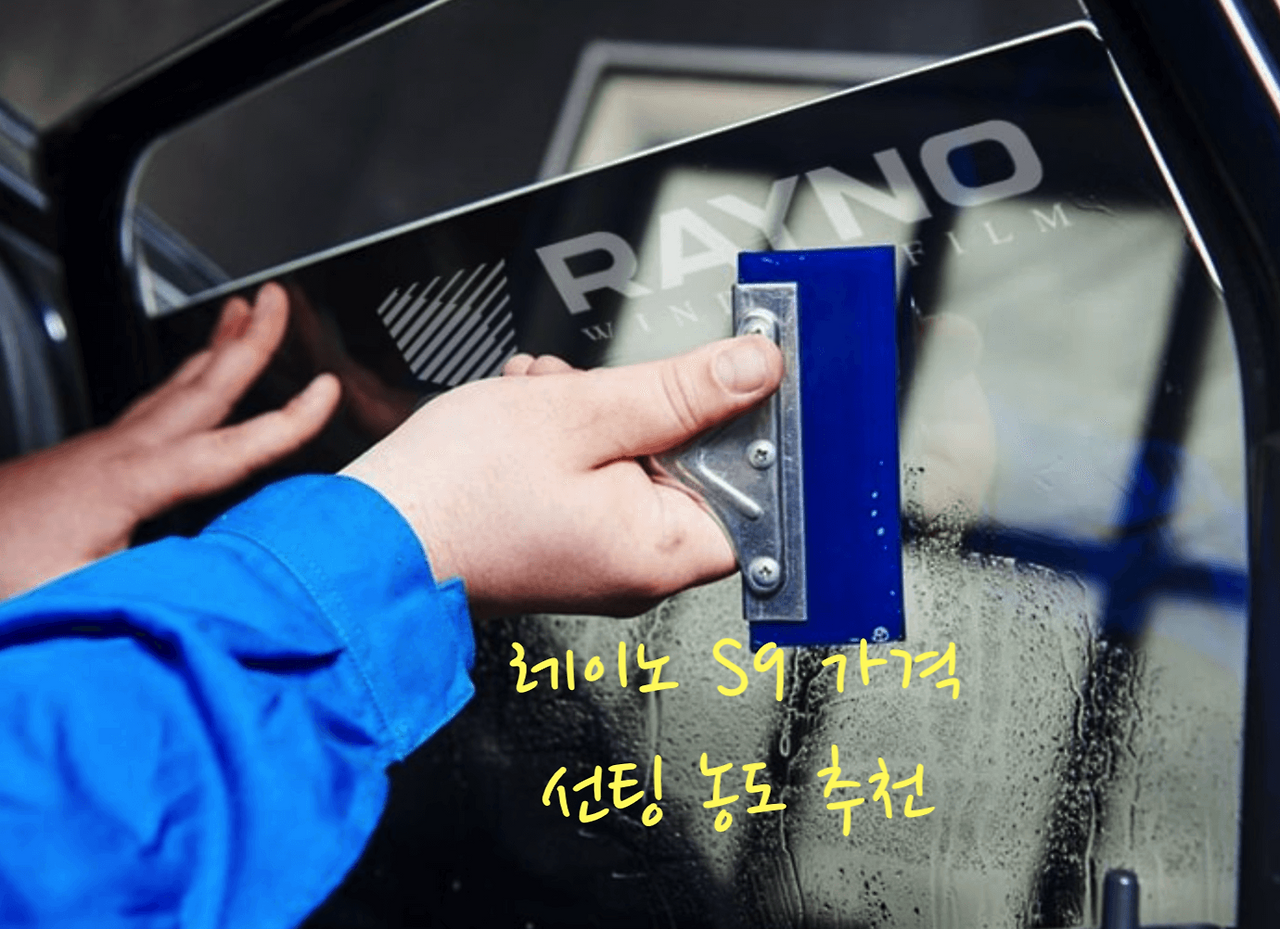 레이노 S9 가격 썬팅 농도 추천