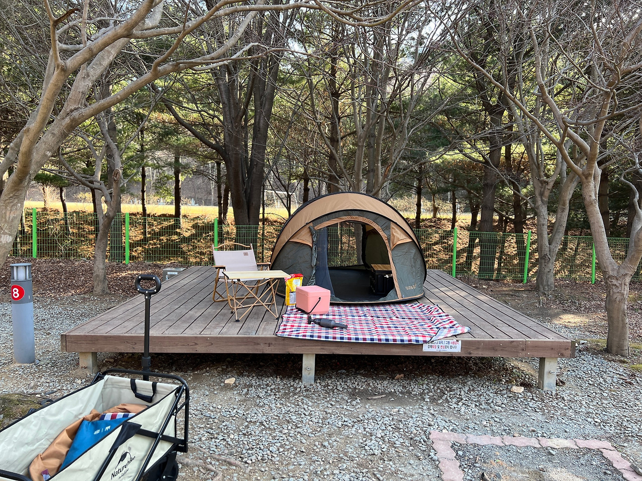 세종시 대전 근처 캠핑장 금강자연휴양림야영장 후기 대전근교 캠핑장 갈 만한 곳 아이들 놀이터 있는 캠핑장