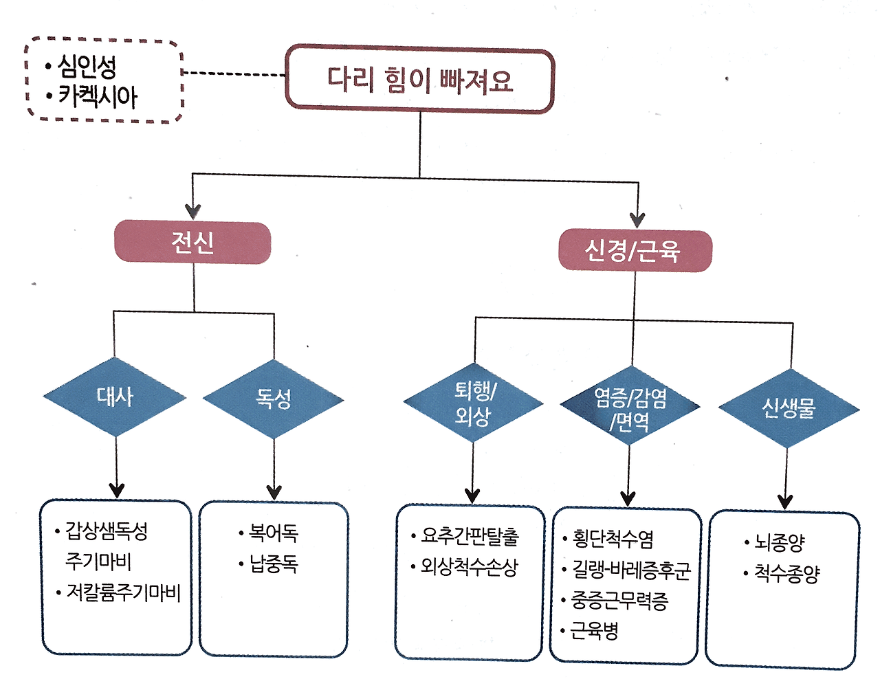 티야의 구름사탕 손발이 저려요한쪽 팔다리를 못 움직여요다리 힘이 빠져요 팔다리 근력 약화