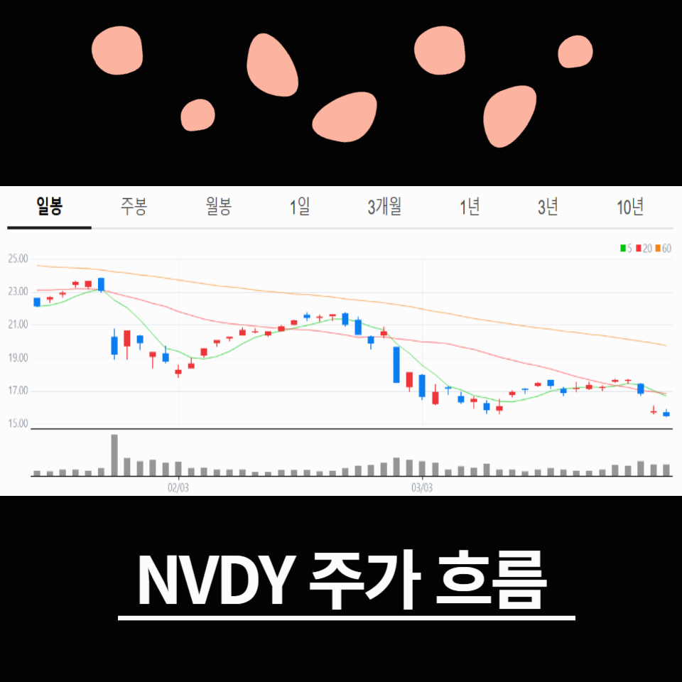 [미국 초고배당 ETF] NVDY 배당금 및 배당 지급일 총정리