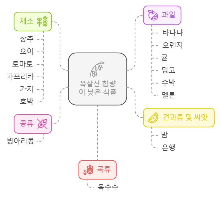 옥살산 많은 음식 대표적인 옥살산 채소 옥살산과 함께 먹으면 좋은 영양소 및 주의점