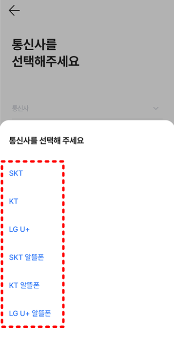 에이닷 통화녹음 KT LG 사용 방법 | 애플워치, 아이패드 오류 주의!