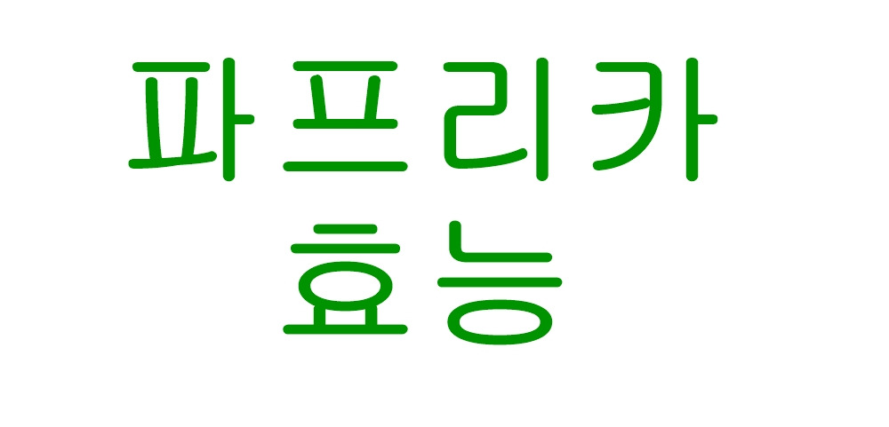파프리카paprika 종류 및 효능과 먹는법
