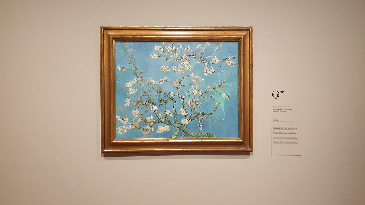 그림보기 네덜란드 반고흐 뮤지엄에서 만난 3 아몬드 나무 그림과 미술 Art Class