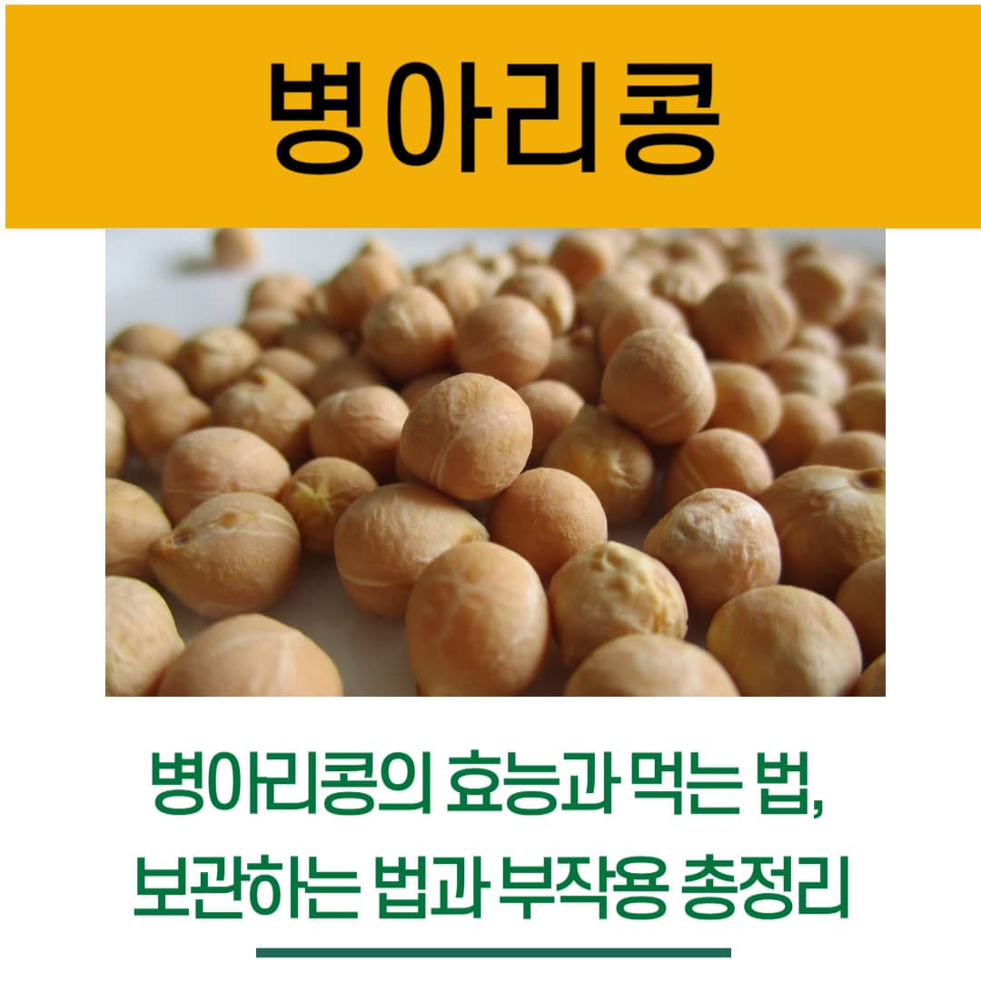 병아리콩 효능과 먹는법 보관하는 법과 부작용 총정리 행복한 건강지킴이