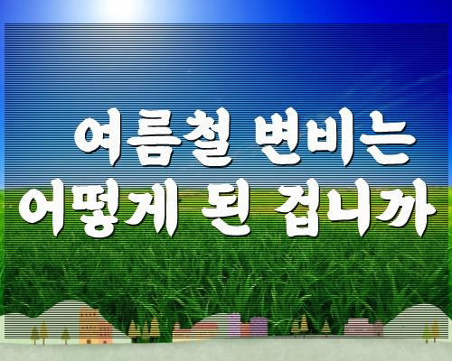 여름철 변비는 어떻게 된 겁니까