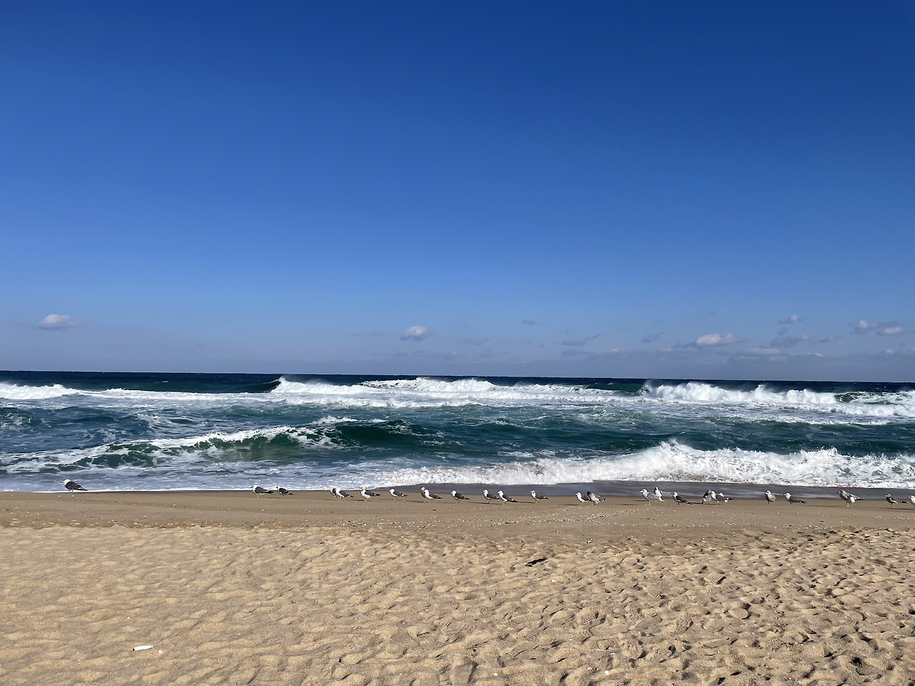 2021년 회고 :: 日用`s Blog