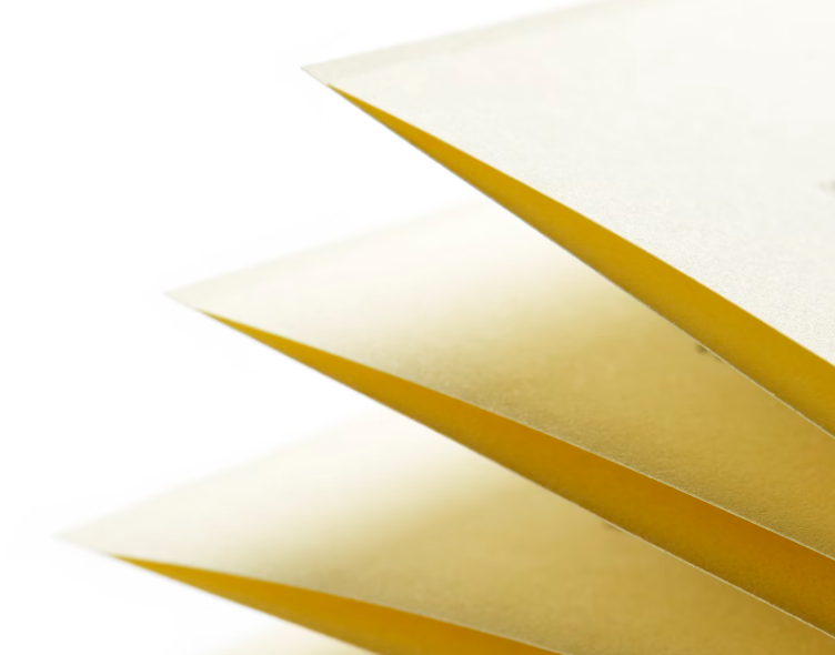 국세e교육원 바로가기 (https://taxstudy.nts.go.kr)