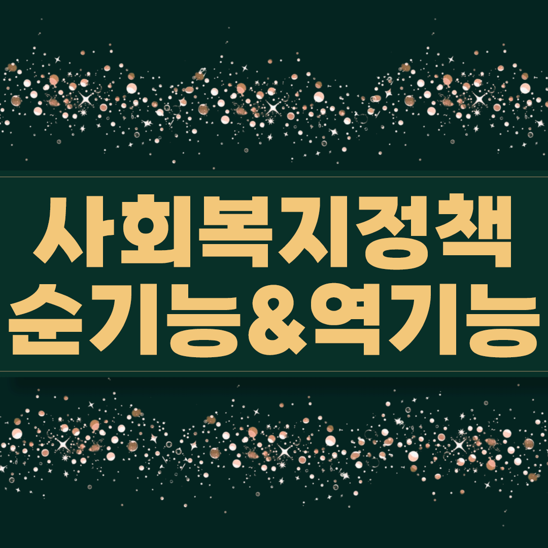 사회복지정책의 1 순기능과 역기능을 각각 설명하고 2 현재 시행중인 사회복지정책제도를 선택하여 예상되는 순기능과 역기능을