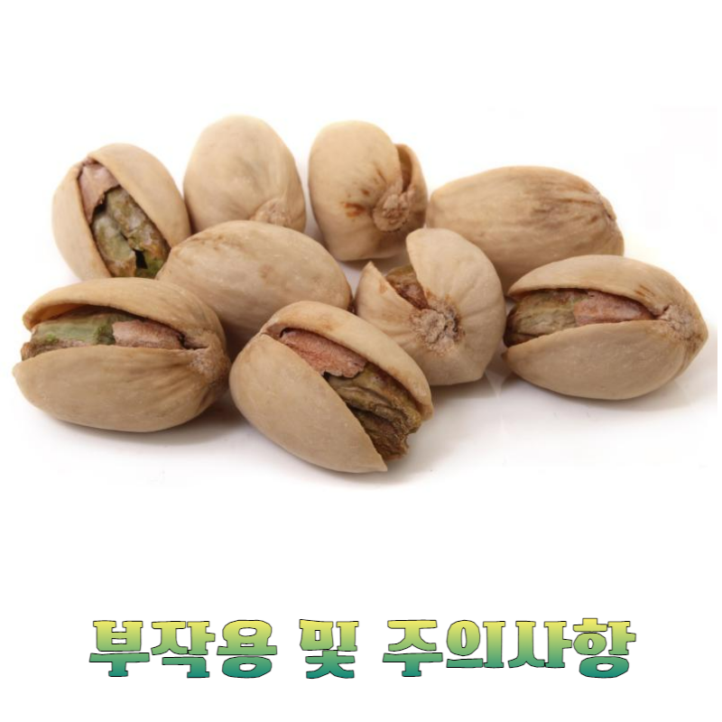 피스타치오 효능 성분 부작용