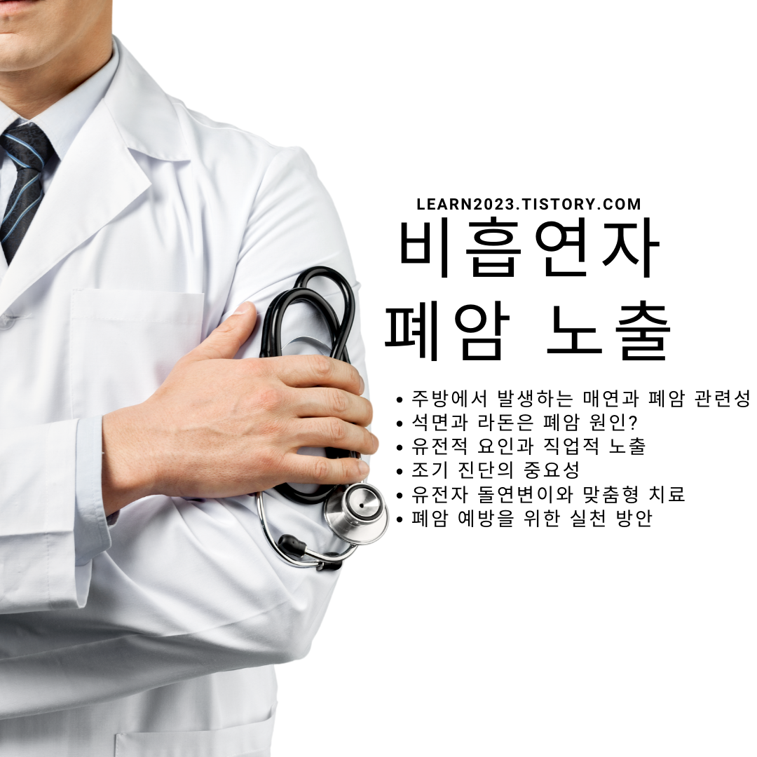 미세먼지 조리 매연 석면 라돈 비흡연자 폐암 위험성
