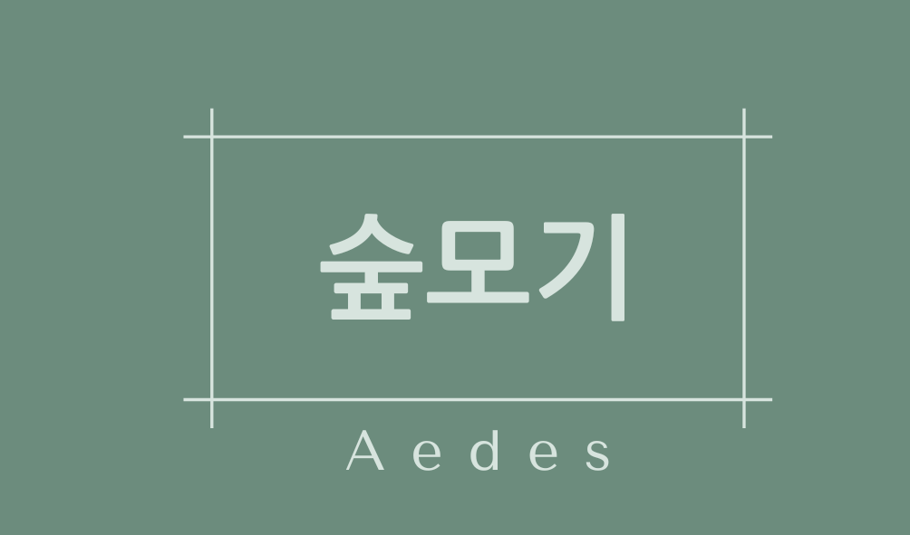 숲모기aedes특징서식지종류천적수명몸무게꿈해몽