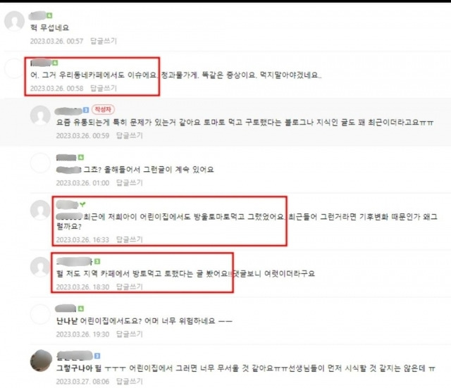 방울토마토 먹고 구토 사례 글 잇따라 식약처 원인 조사중