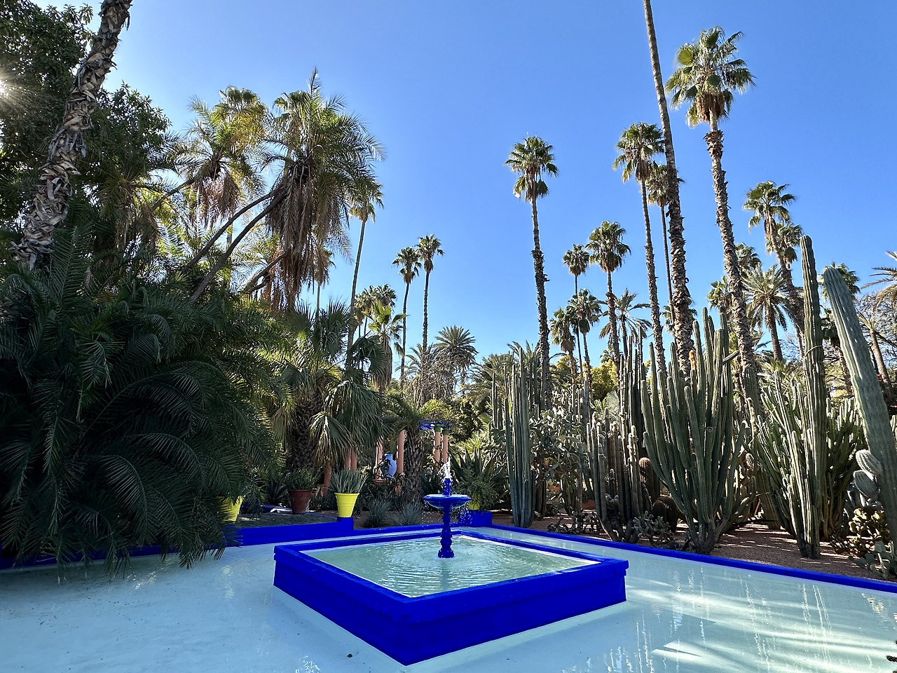 마조렐 정원 Jardin Majorelle 자르뎅마조렐 마조렐 블루 마조렐 정원 입장료