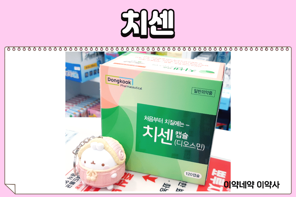 약 치센 치질 치료제 정맥 부종 하지 정맥류 효과 가격 복용법