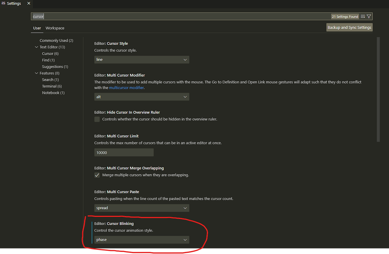 VS Code Extension & Settings