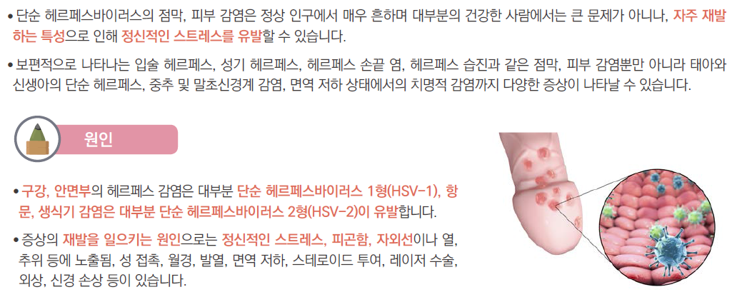 전주 이진복한의원 단순 헤르페스 감염단순포진